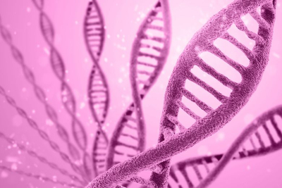 Exoma: entenda o exame genético | Alta Diagnósticos