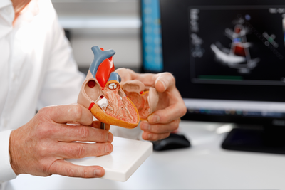 Miocardite: sintomas, diagnóstico e tratamento